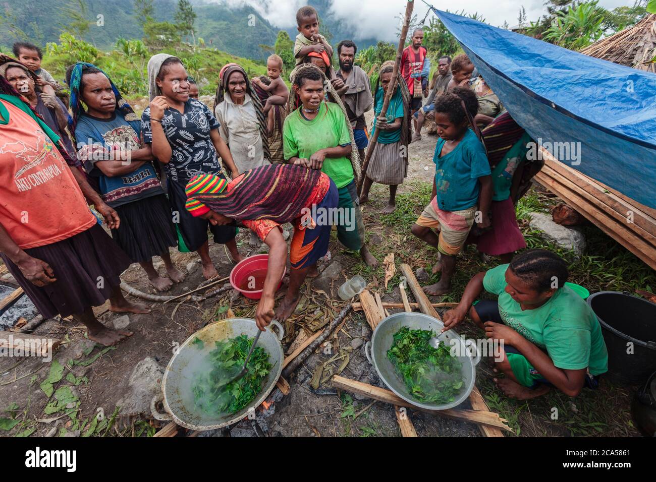 Indonesia, Papua, Baliem valley, near Wamena, Yali people territory ...