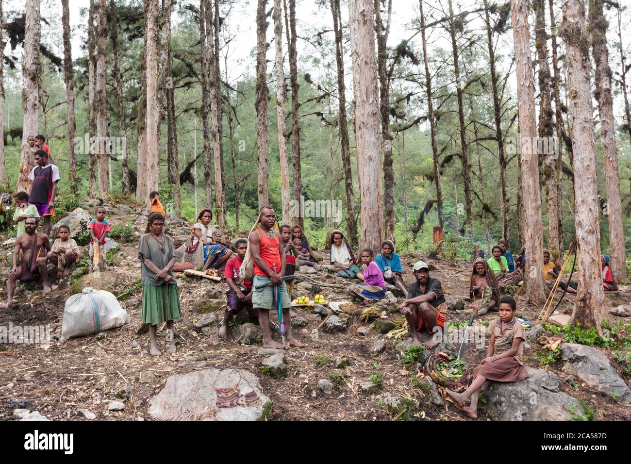 Indonesia, Papua, Baliem valley, near Wamena, Yali people territory ...