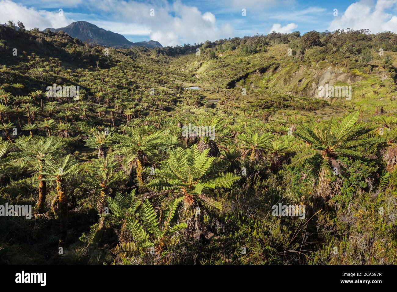 Asia papua new guinea mount hi-res stock photography and images - Alamy