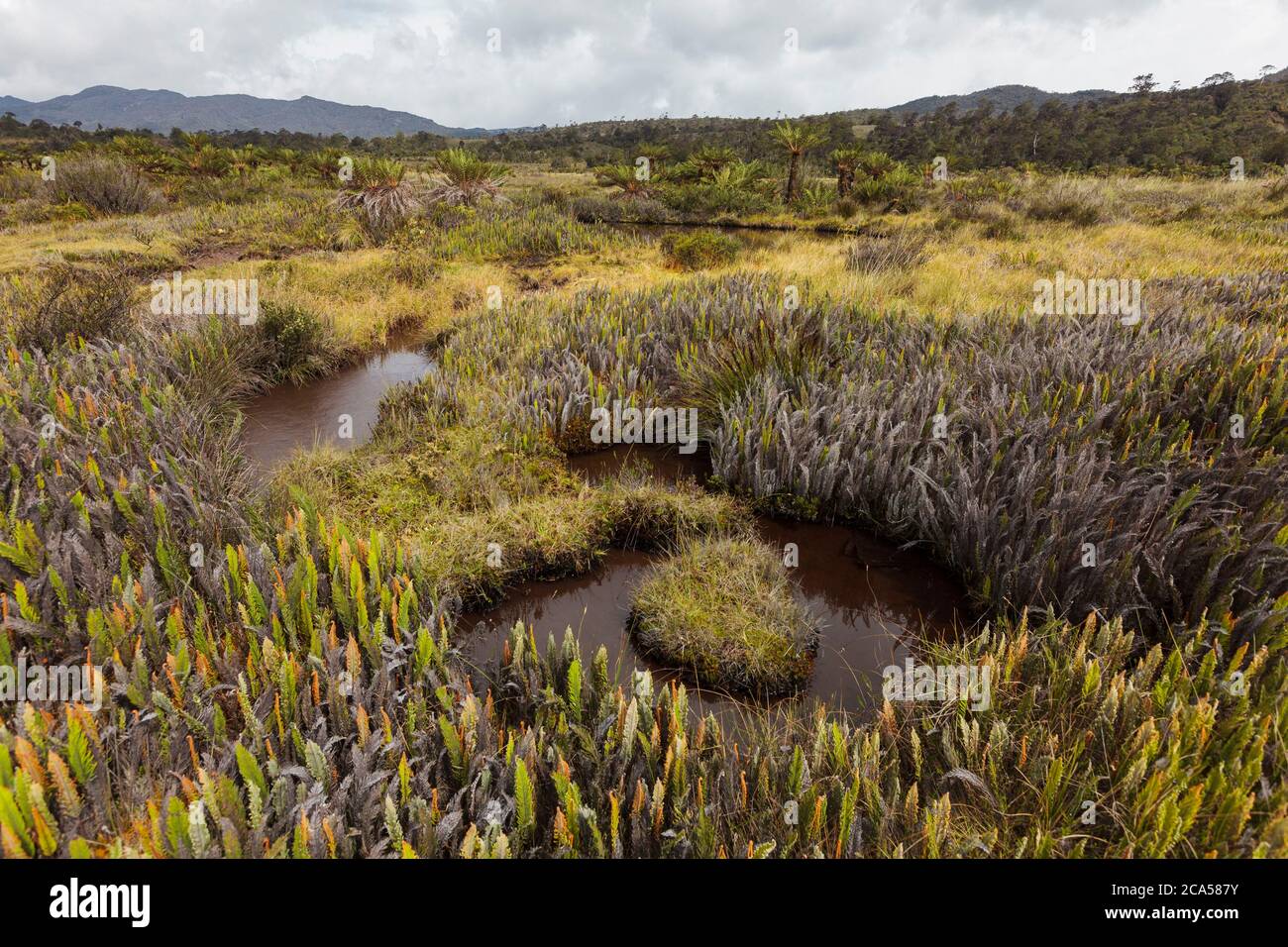 Indonesia, Papua, Baliem valley, near Wamena, Yali people territory ...