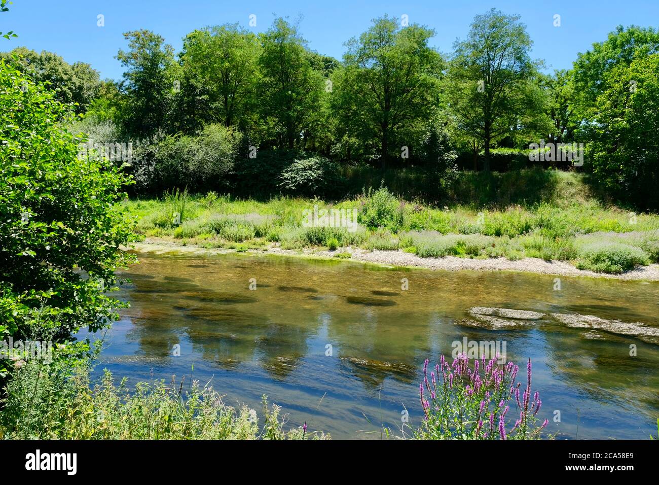 France, Cote d'Or, Dijon, Colombiere park, 33 hectare public forest ...