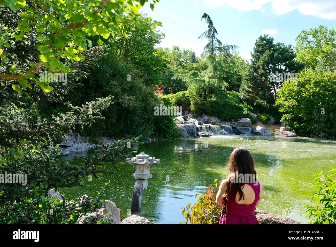France, Cote d'Or, Dijon, Suzon park, Japanese garden Stock Photo - Alamy