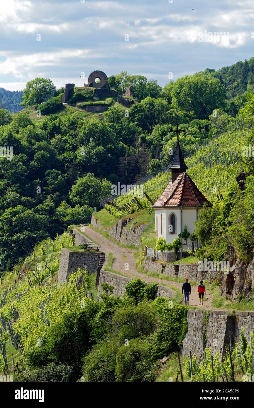 Rangen vineyard hi-res stock photography and images - Alamy