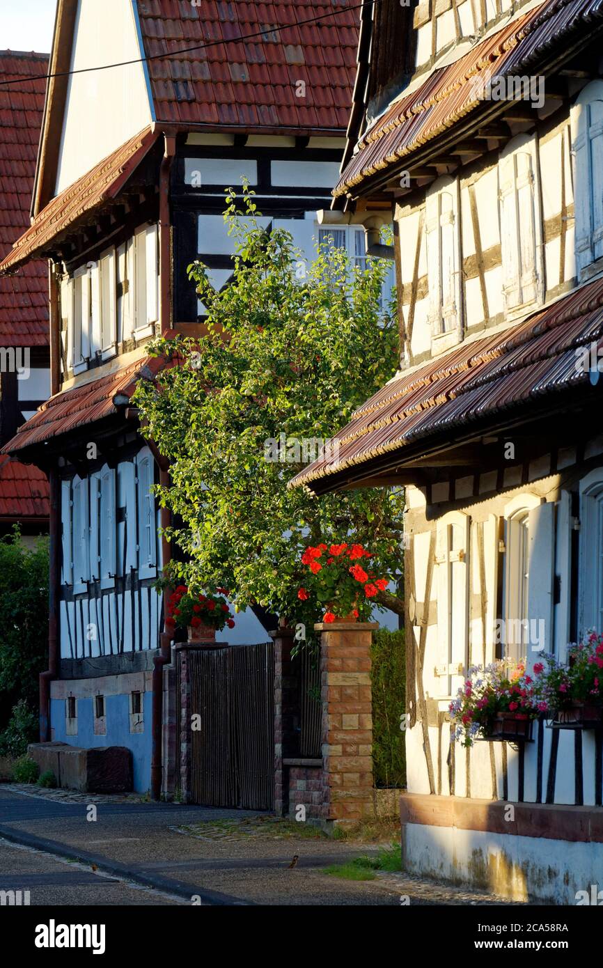 France, Bas Rhin, Hunspach, labelled Les Plus Beaux Villages de France ...