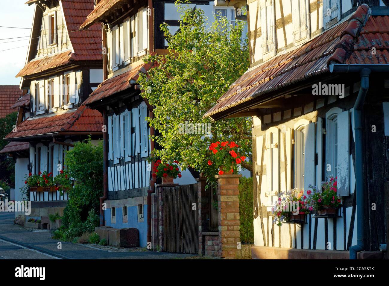 France, Bas Rhin, Hunspach, labelled Les Plus Beaux Villages de France ...