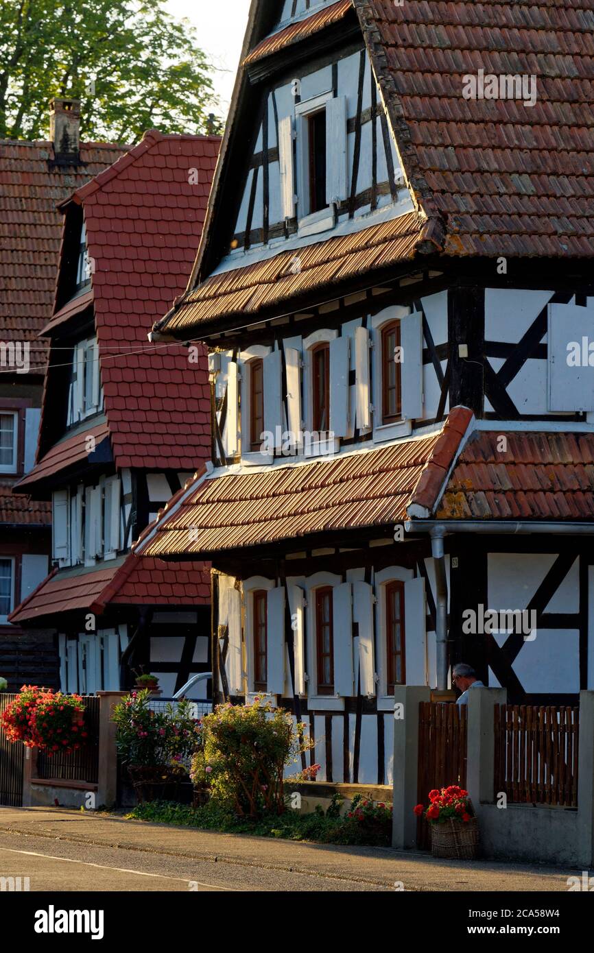 France, Bas Rhin, Hunspach, labelled Les Plus Beaux Villages de France ...