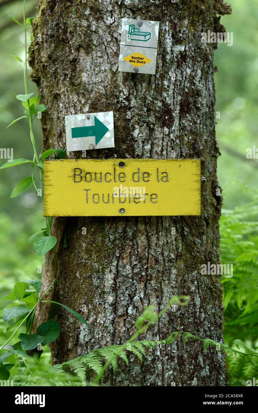 France, Haute Saone, Saint Germain, Grande Pile bog, signs, trail ...