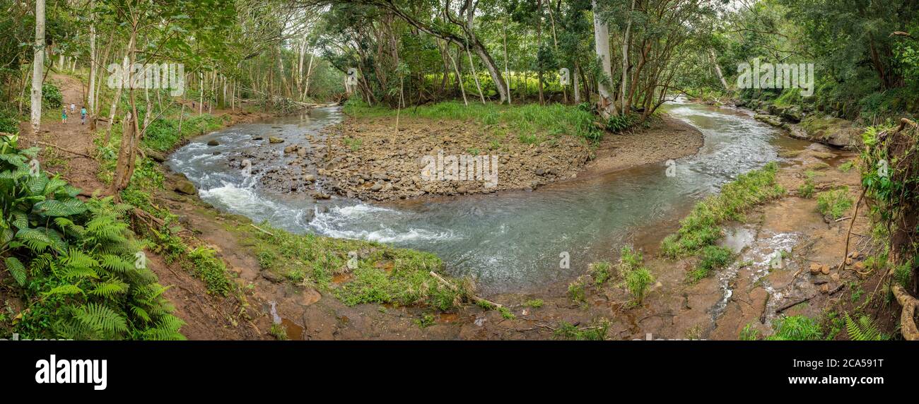 Hawaii forest landscape hi-res stock photography and images - Alamy