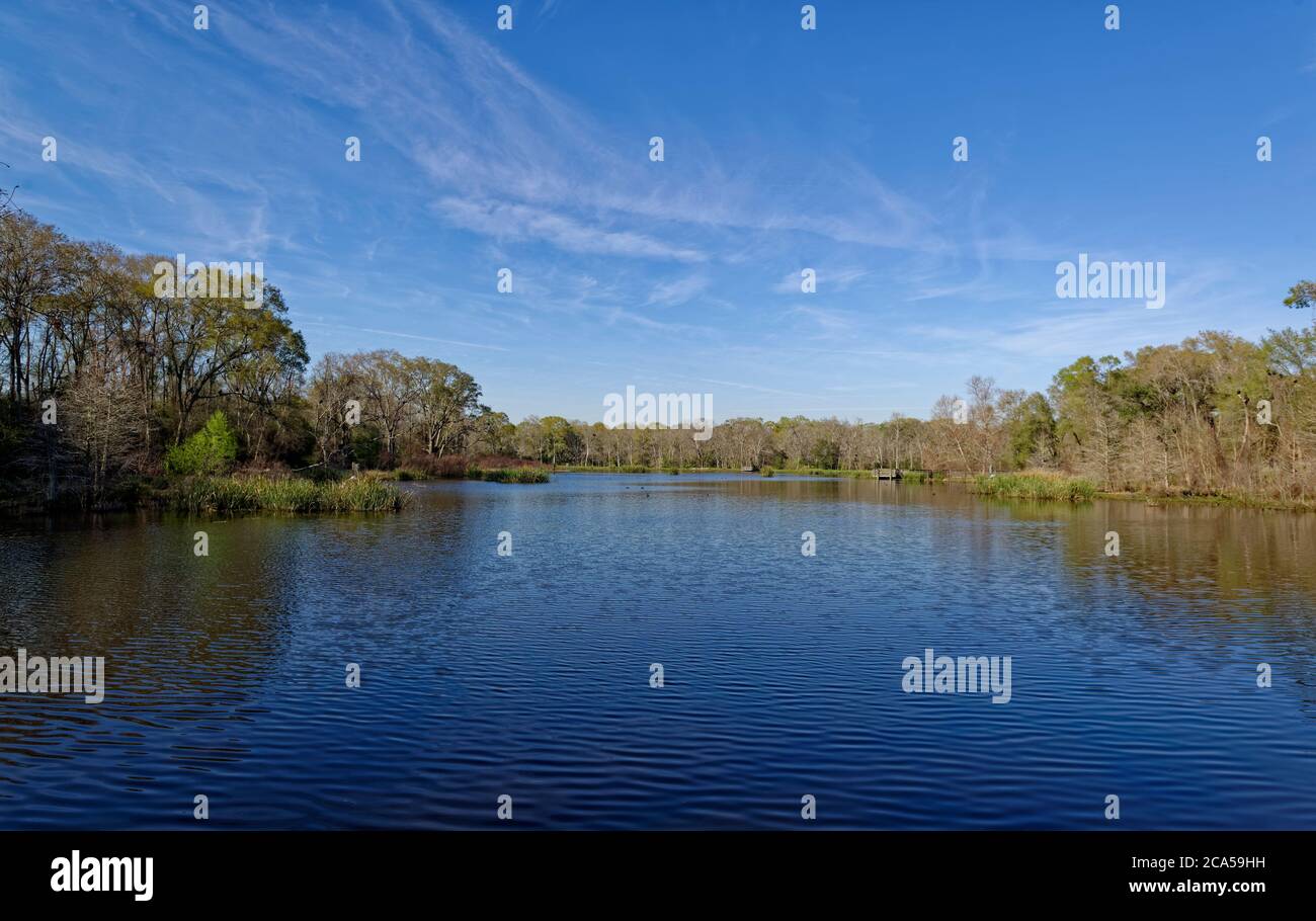 Elm Lake at the Brazos Bend State Park in Texas, on a sunny day in ...