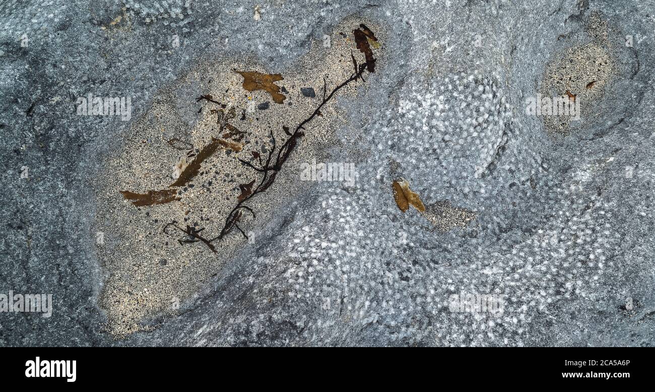 Wet material hi-res stock photography and images - Alamy