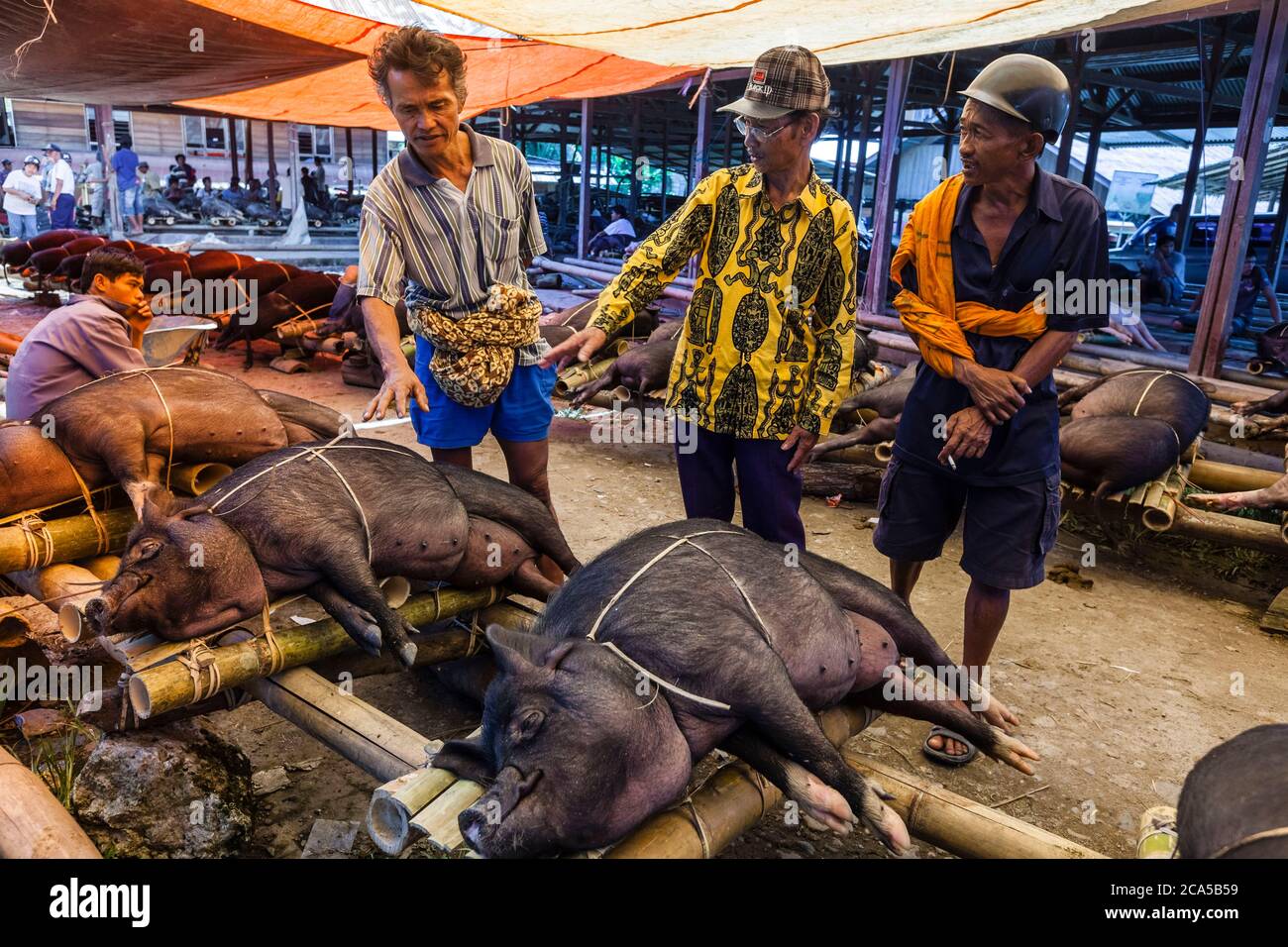 Indonesia, Sulawesi, Tana Toraja, Rantepao, town center, market and ...