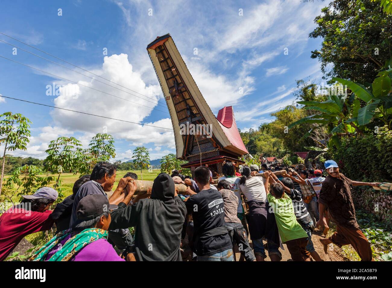 Indonesia, Sulawesi, Tana Toraja, Bori, funeral ceremony, procession ...