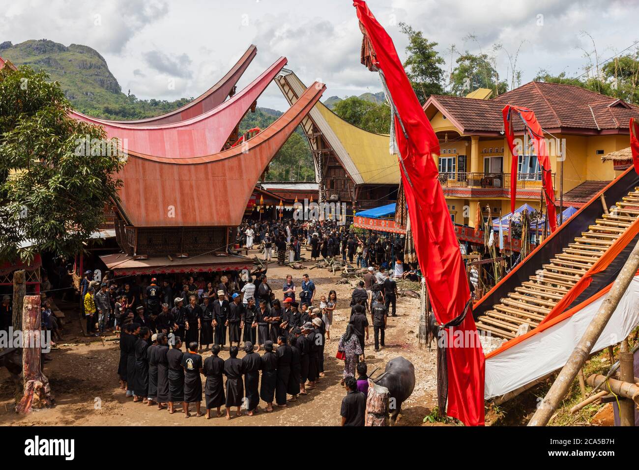 Indonesia, Sulawesi, Tana Toraja, Makale, funeral ceremony, elevated ...