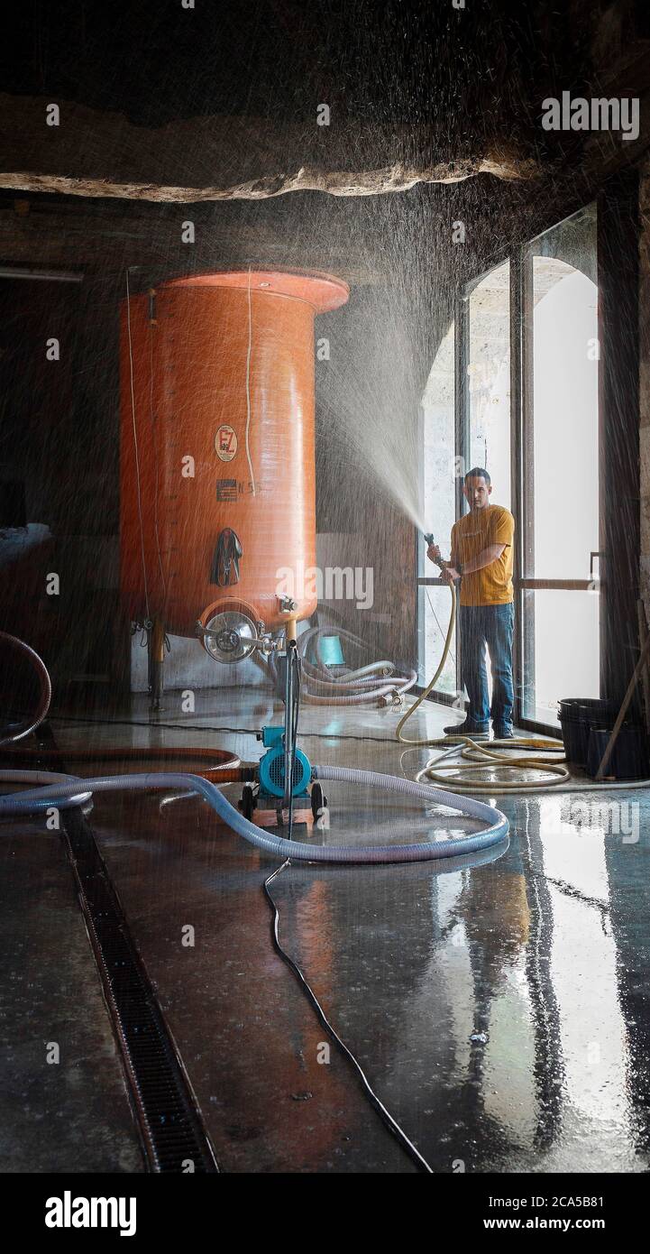 Person in a wine cellar hi-res stock photography and images - Alamy