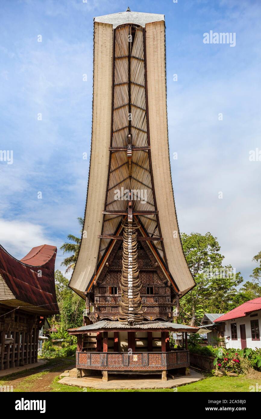 Indonesia, Sulawesi, Tana Toraja, Palawa village, line of buffalo ...