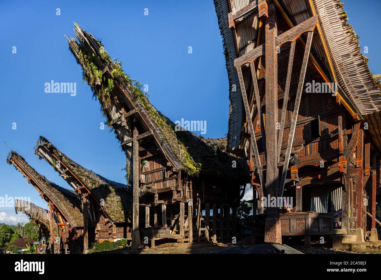 Indonesia, Sulawesi, Tana Toraja, Palawa village, line of traditional ...