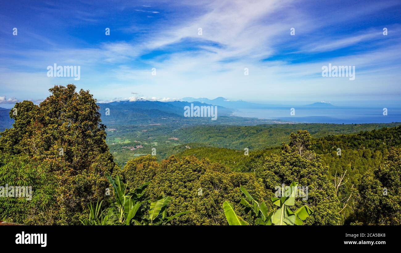 Beautiful sunny tropical forest hi-res stock photography and images - Alamy