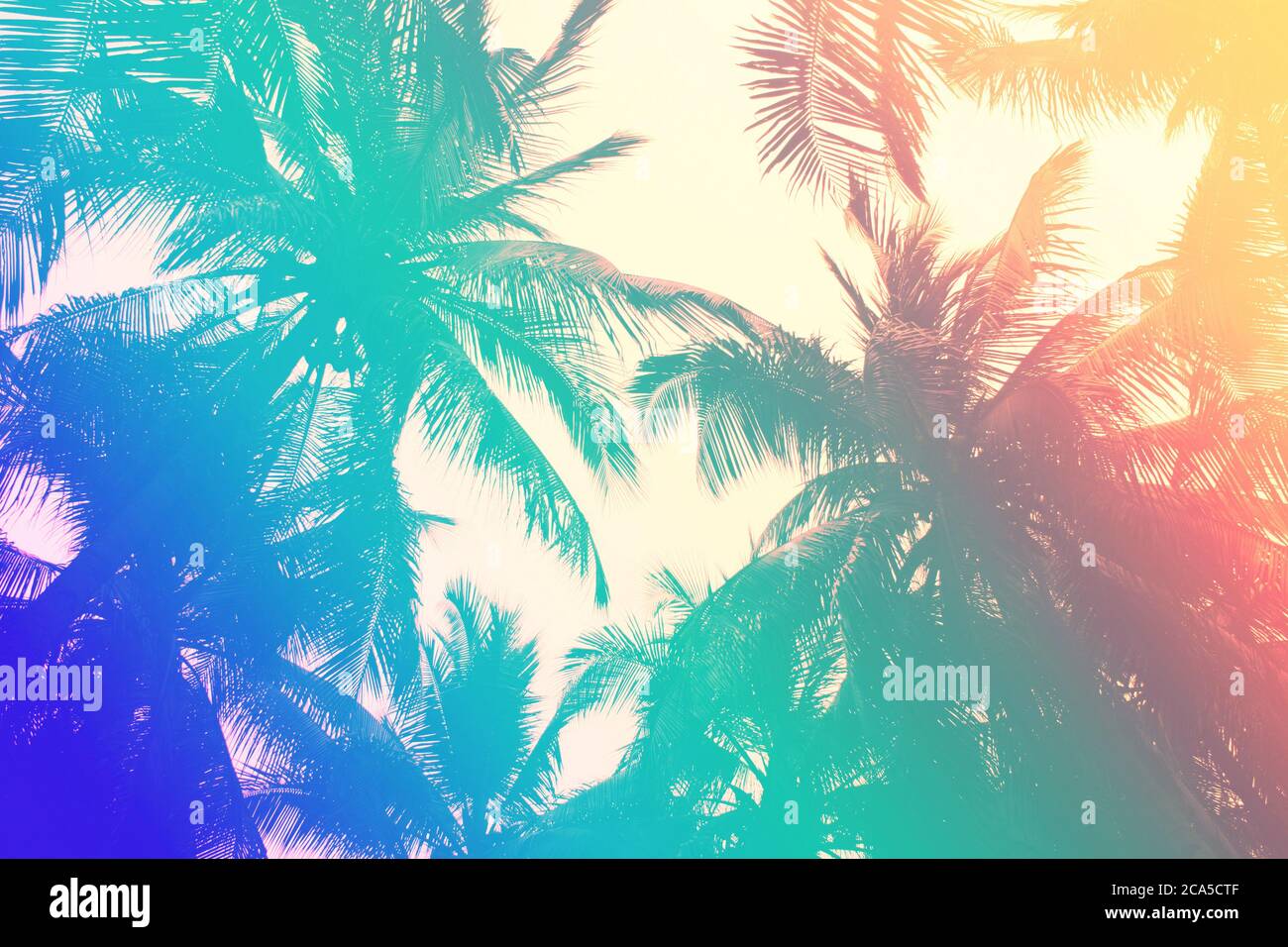Colorful tropical 90s/80s style palm tree jungle background texture ...