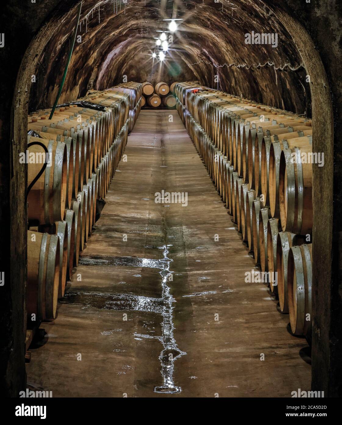 Cooperative activity hi-res stock photography and images - Alamy