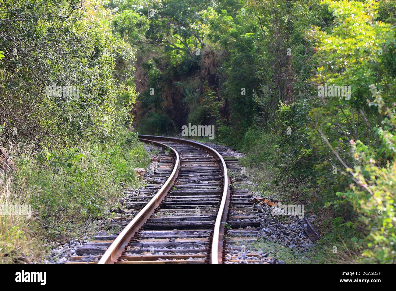 Conceicao do coite hi-res stock photography and images - Alamy