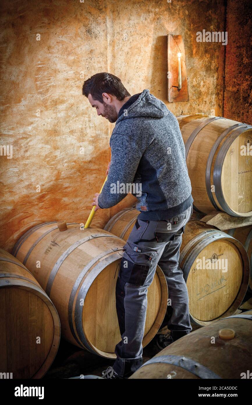 Batonnage hi-res stock photography and images - Alamy