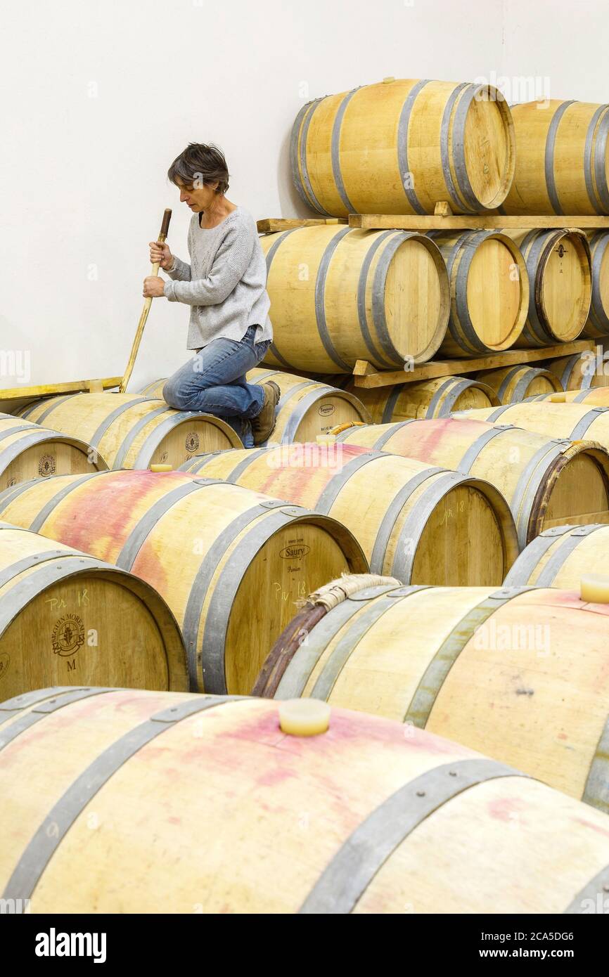 Batonnage hi-res stock photography and images - Alamy