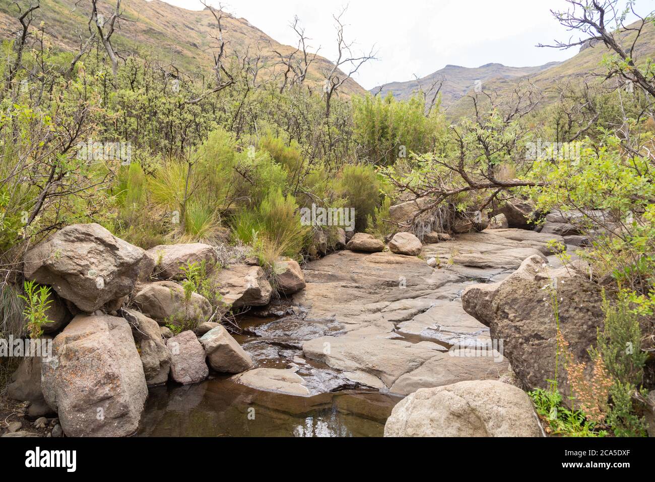 Hlotse River in Tsehlanyane National Park, Leribe District, Kingdom of ...