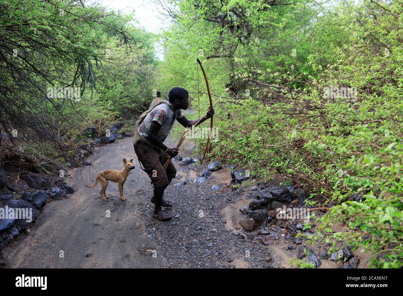 Tanzania, Lake Eyasi region, the Hazabe tribe, among the last hunter ...