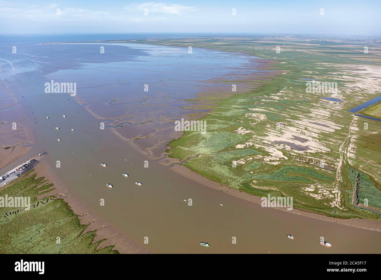 France, Charente Maritime, Charron, the Sevre Niortaise estuary, the ...