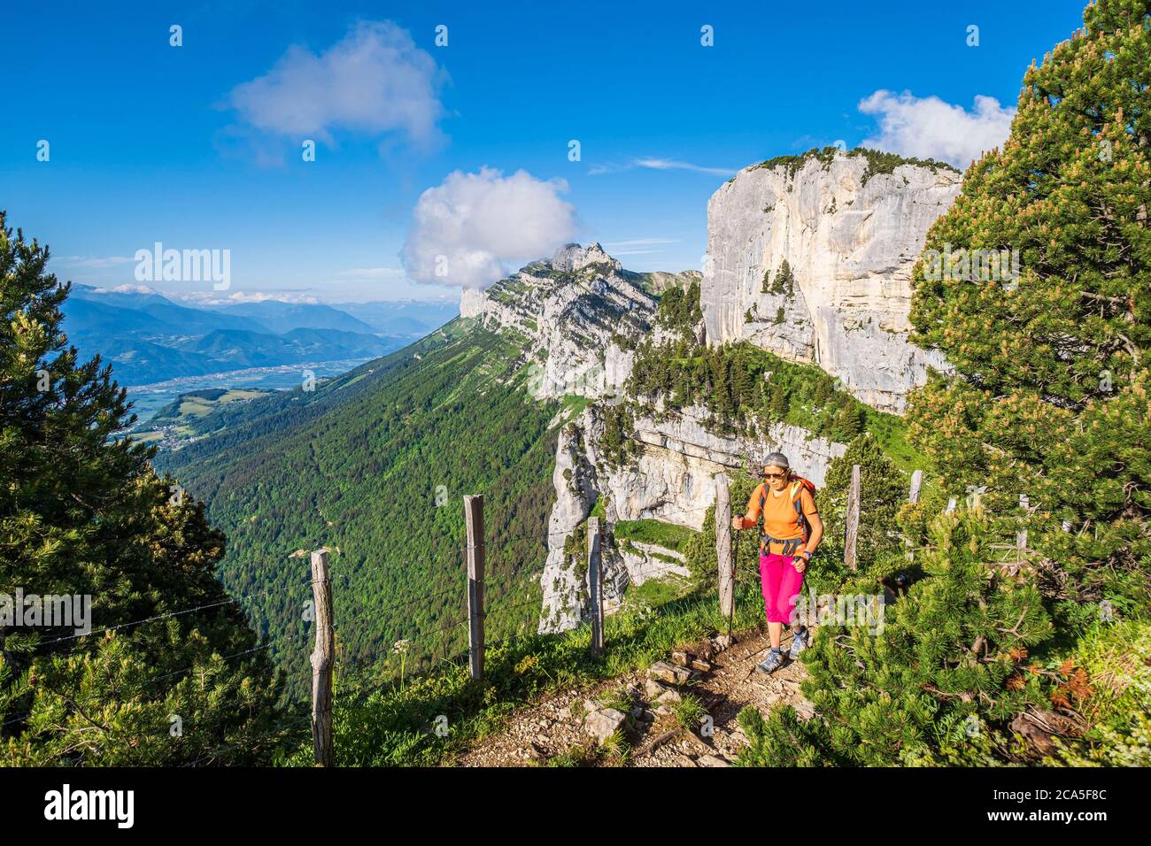 France, Isere, Chartreuse massif, hike to the Aulp du Seuil Cross Stock ...