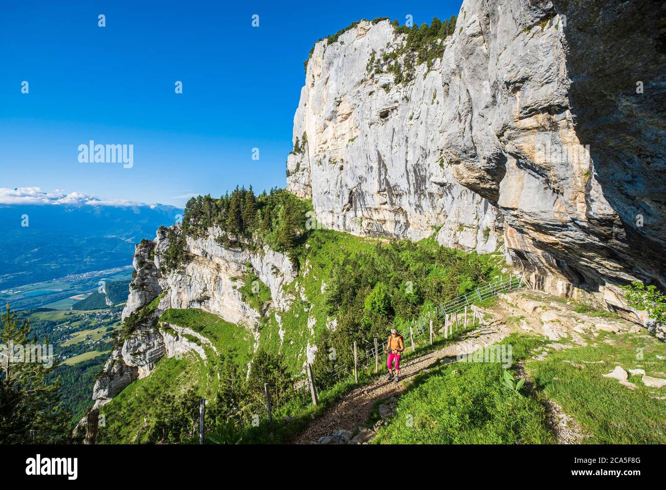 France, Isere, Chartreuse massif, hike to the Aulp du Seuil Cross Stock ...