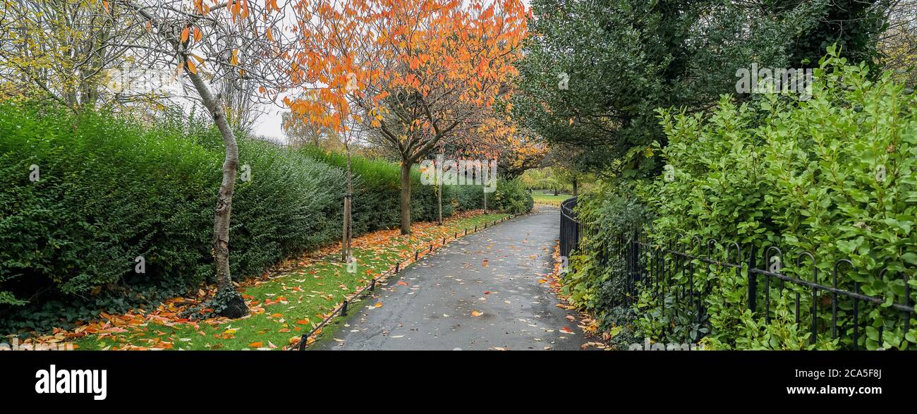 Color of ireland hi-res stock photography and images - Alamy