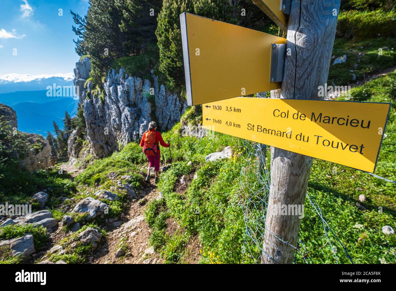 Chartreuse board hi-res stock photography and images - Alamy