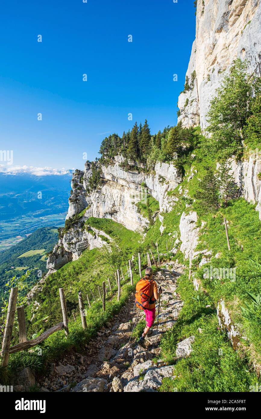 France, Isere, Chartreuse massif, hike to the Aulp du Seuil Cross Stock ...