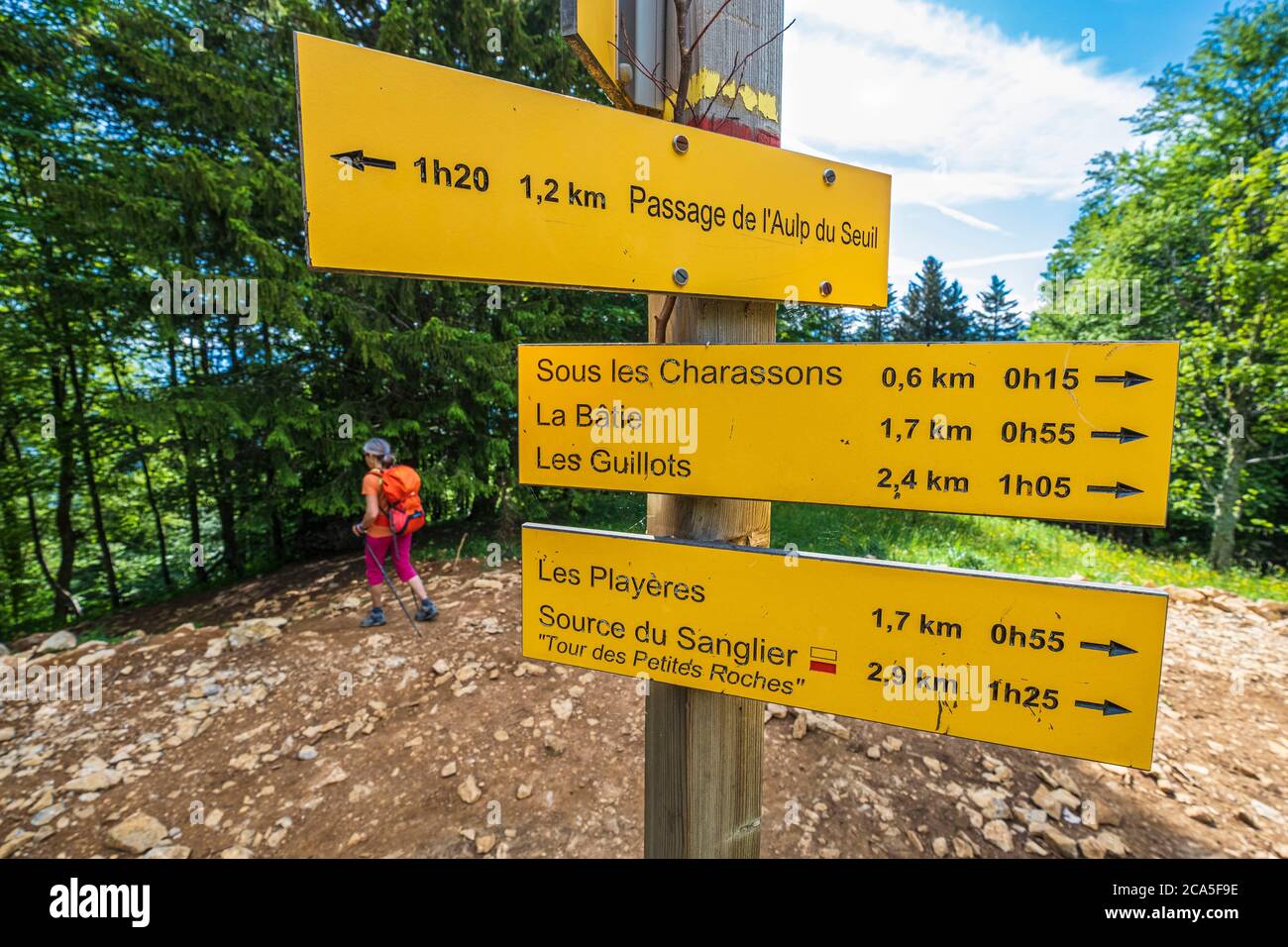 Chartreuse board hi-res stock photography and images - Alamy