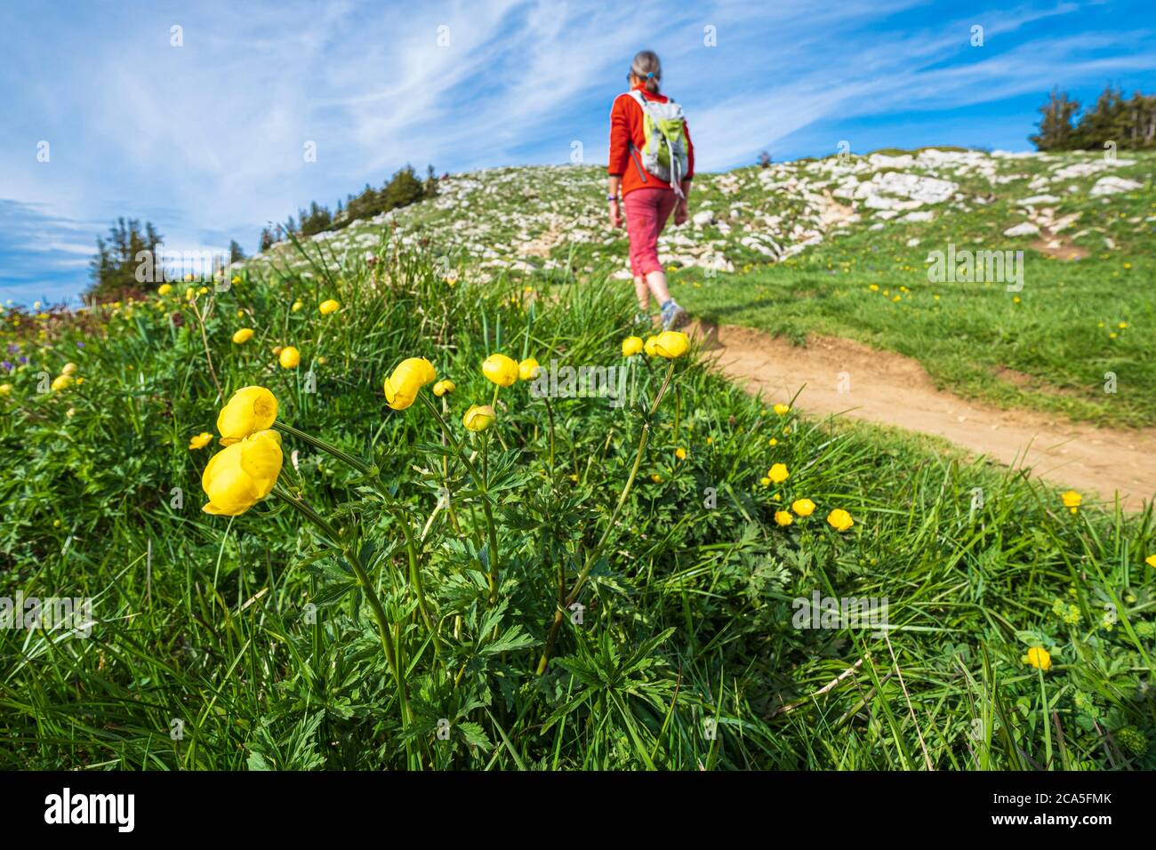 France, Isere, Chartreuse massif, Saint-Pierre de Chartreuse, hike to ...