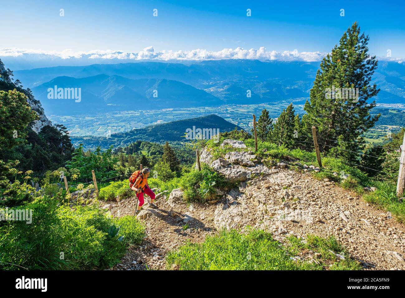 France, Isere, Chartreuse massif, hike to the Aulp du Seuil Cross Stock ...