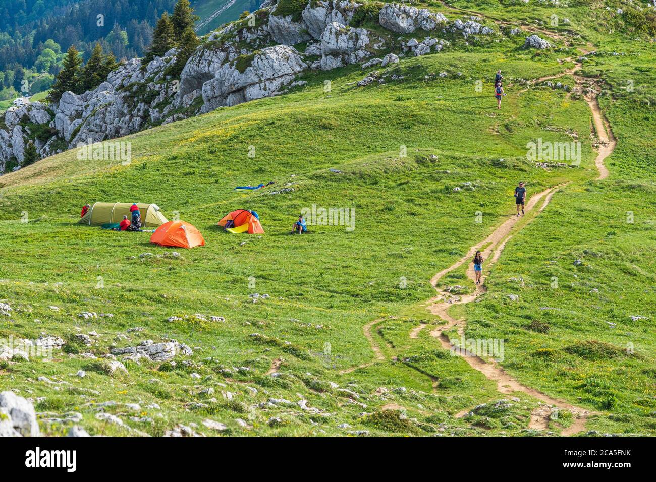 France, Isere, Chartreuse massif, Saint-Pierre de Chartreuse, hike to ...