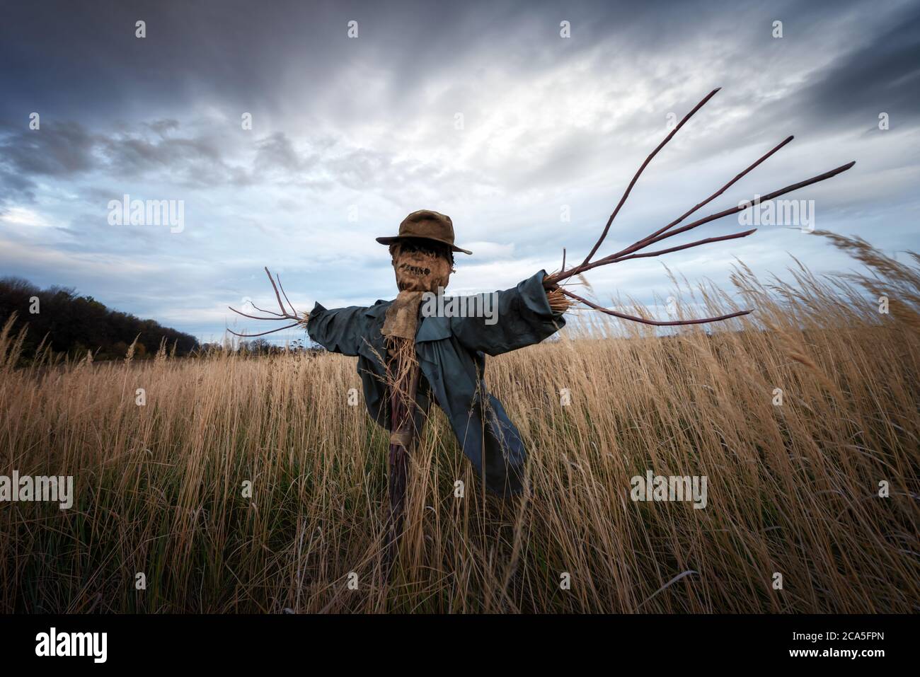 Scarecrow in a country field hi-res stock photography and images - Alamy