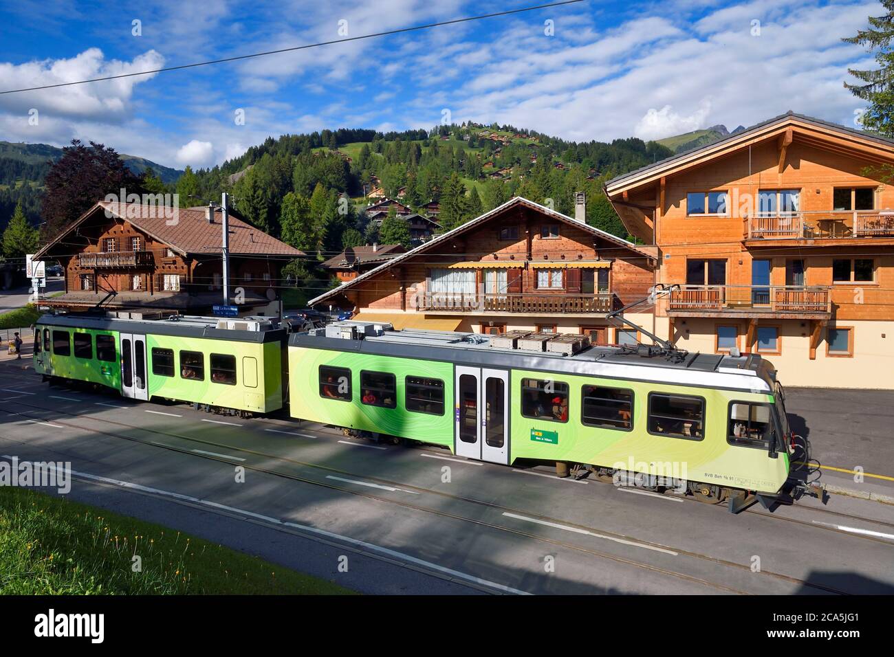 Switzerland, Canton of Vaud, Gryon-La barboleuse, train going from Bex ...