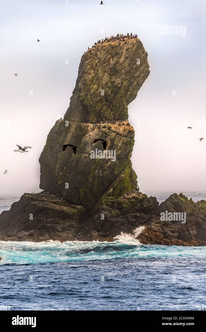 Shag rocks hi-res stock photography and images - Alamy