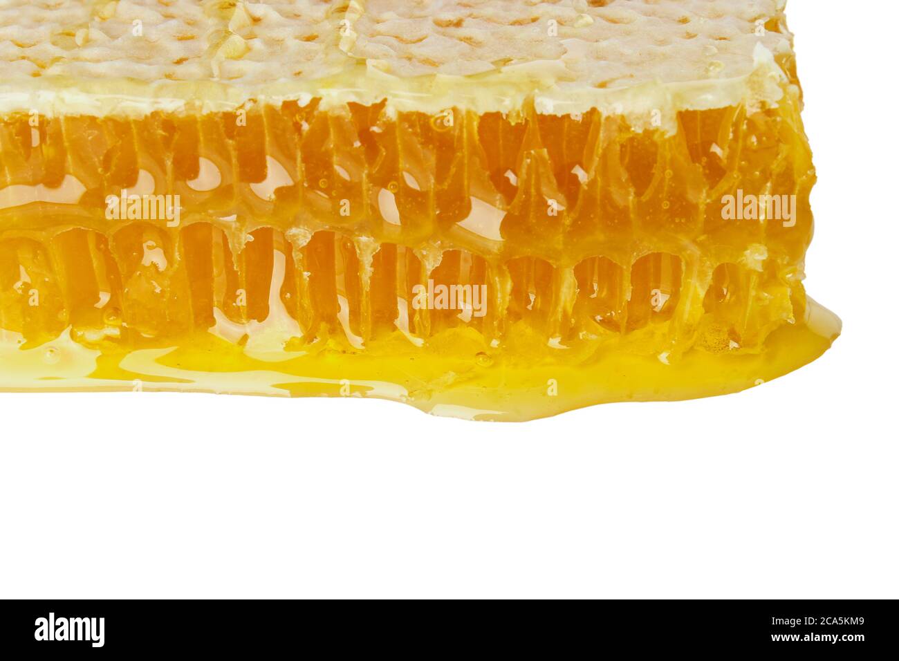 Bee combs with honey close up isolated on white background Stock Photo ...