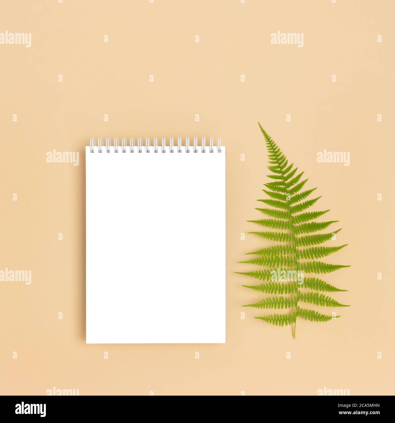 Notebook mock up with green fern leaf on a beige baclground. Blank ...
