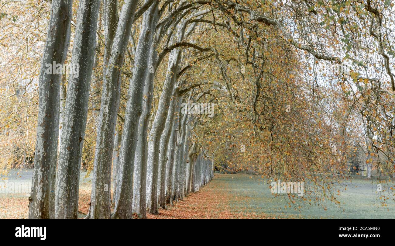 France, Aude, Canal du Midi, listed as World Heritage by UNESCO ...