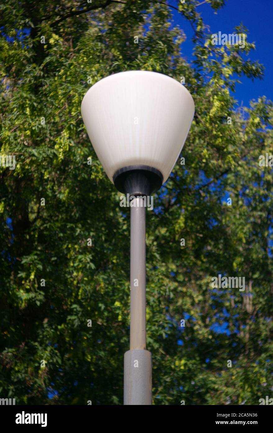 lantern and tree Stock Photo - Alamy