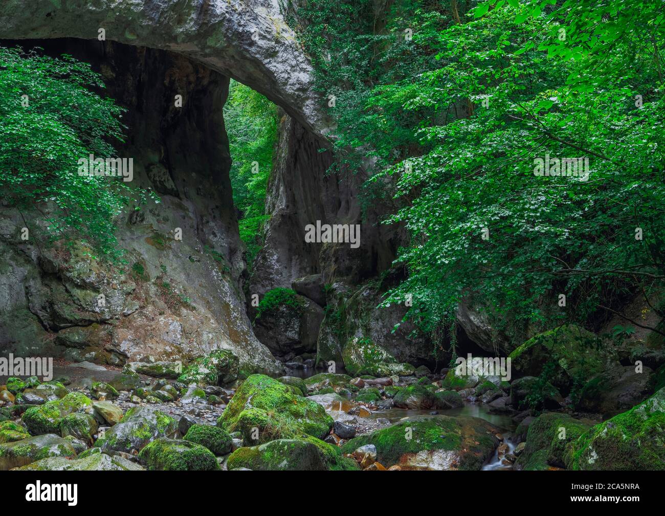 France, Hautes Pyrenees, Barousse, Saoule gorges, river flowing in the ...