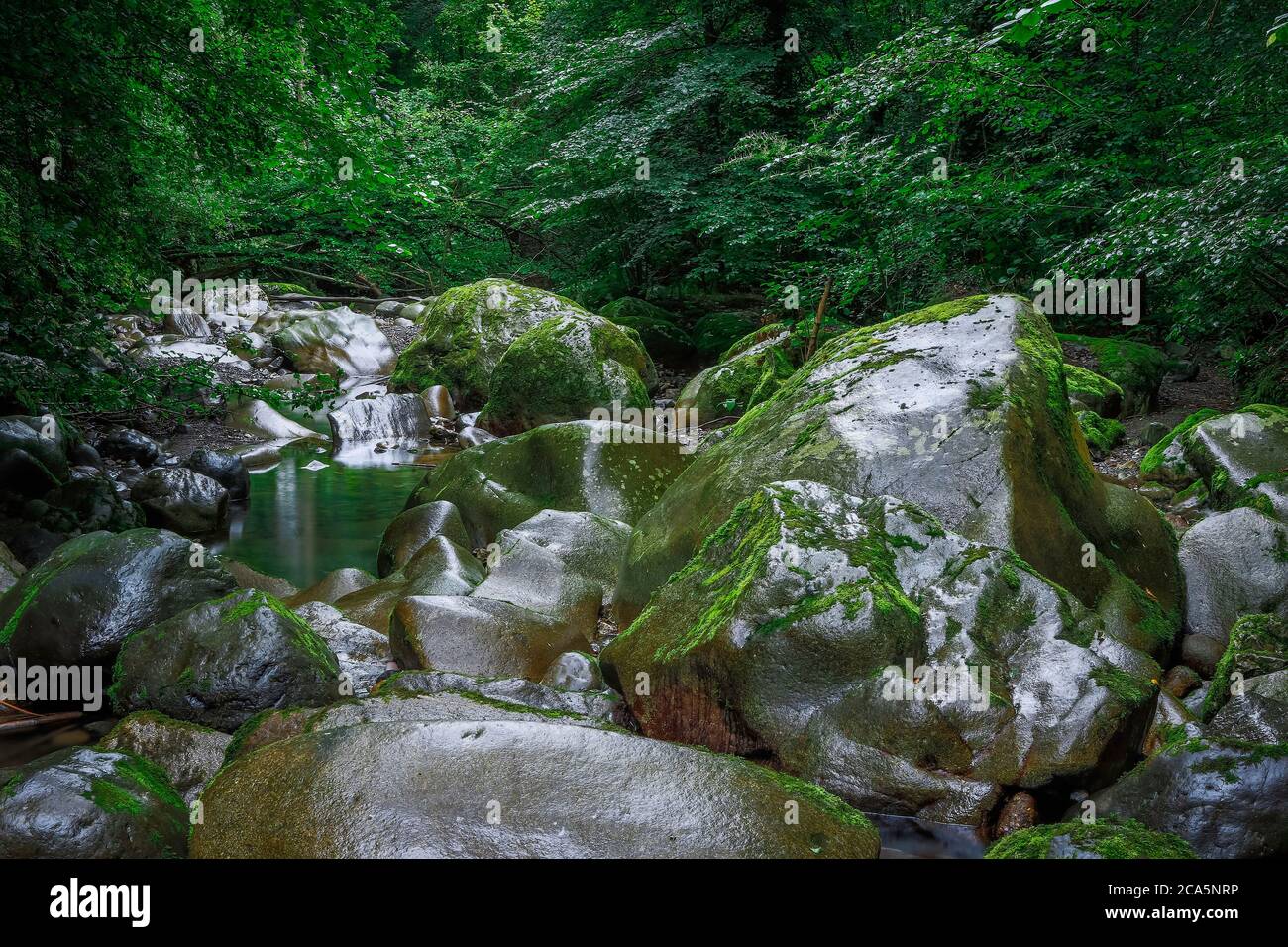 France, Hautes Pyrenees, Barousse, Saoule gorges, river flowing in the ...