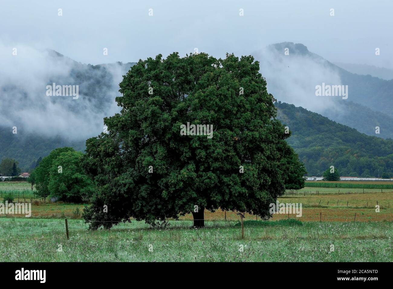 France, Hautes Pyrenees, Barousse Stock Photo - Alamy