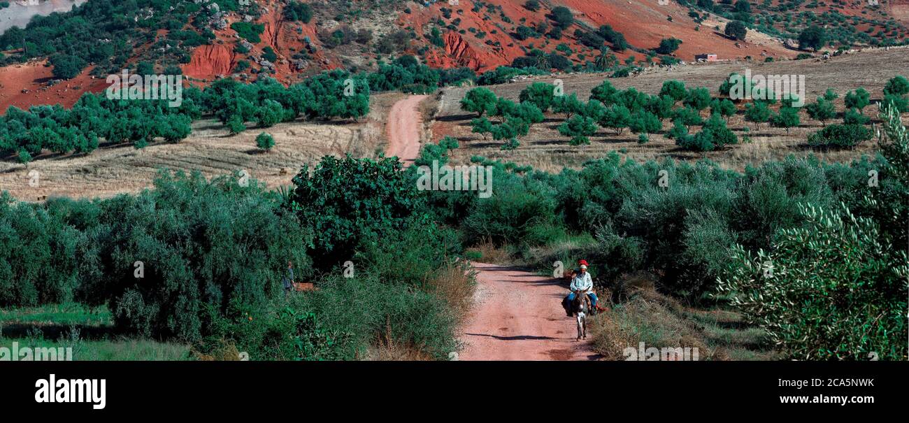 Morocco, Meknes, mountainous landscape typical of Morocco, peasant ...