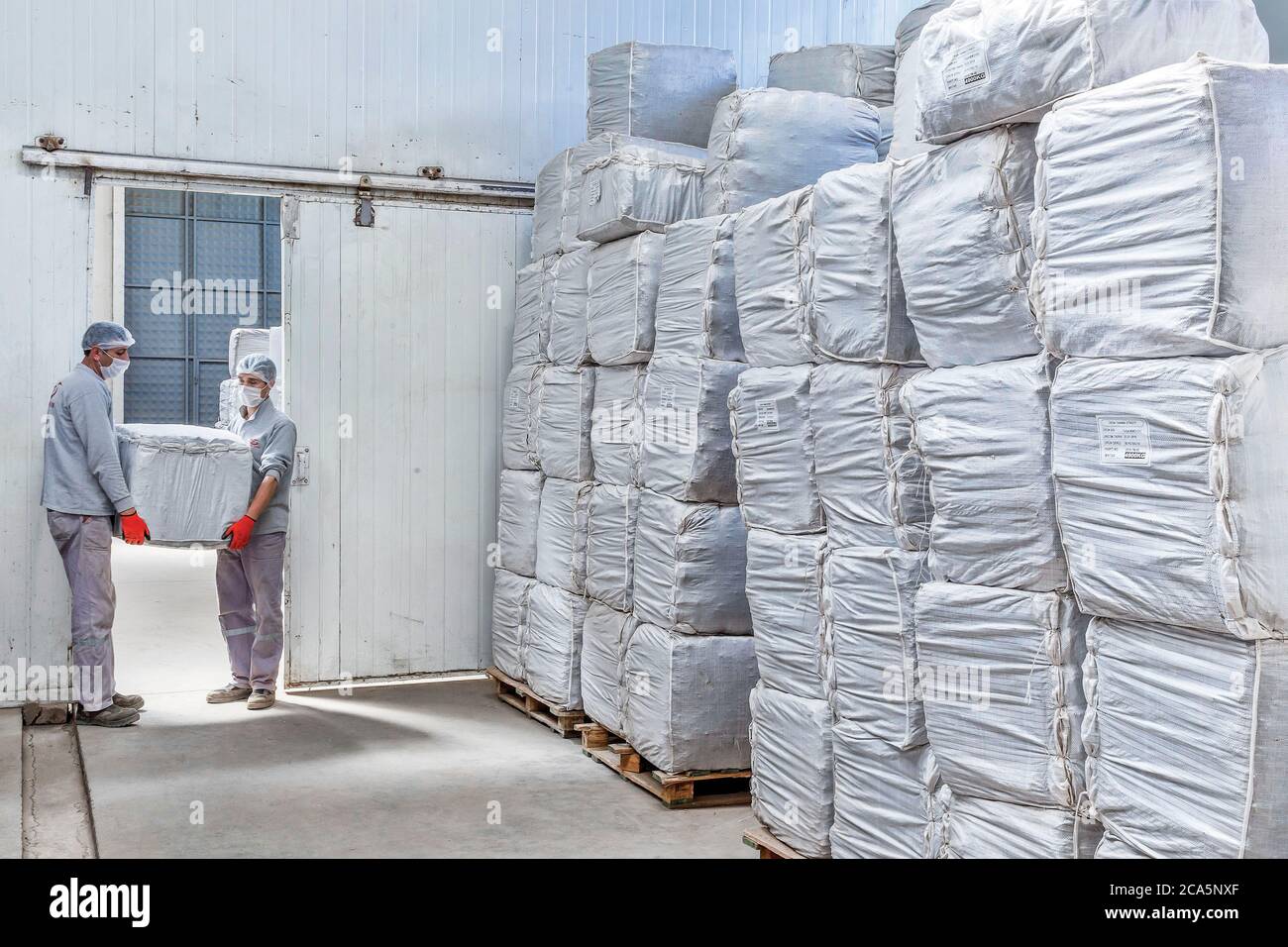 Turkey, Sakarya, Hendek, preparation of storage bags and storage in a ...